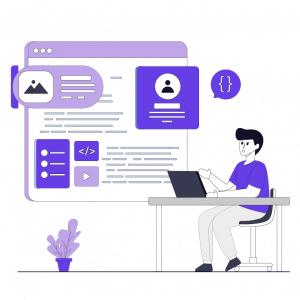 Custom Software Development Company in Mumbai and India